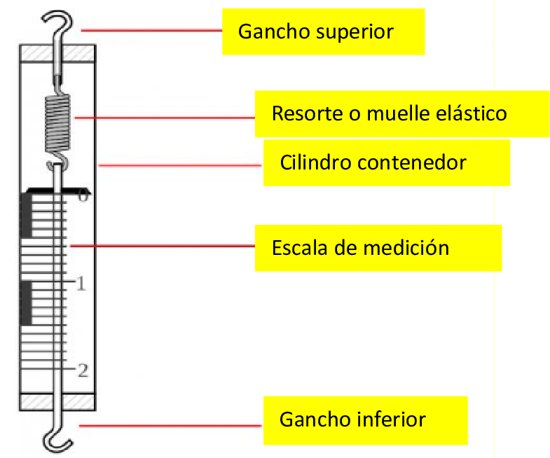 Fuerzas: Fichas – 2 Muelles: Ley de Hooke